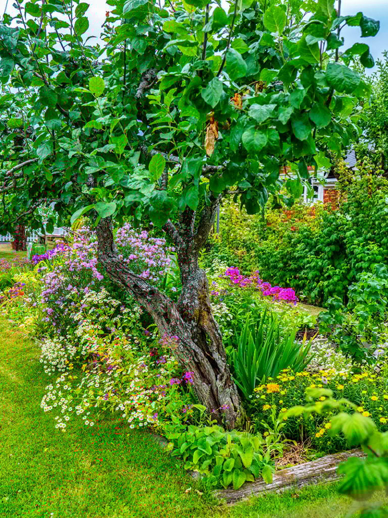 7 vackra planteringar för en frodig trädgård - Hus & Hem