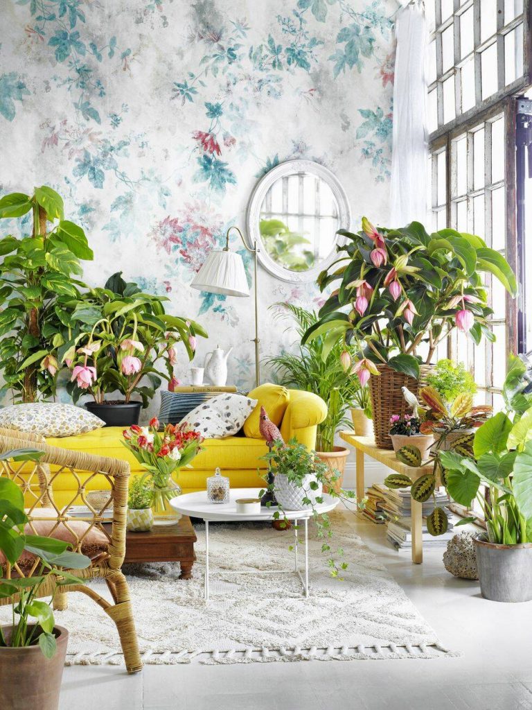Så här inreder du skönt bohemiskt med växter - Hus & Hem