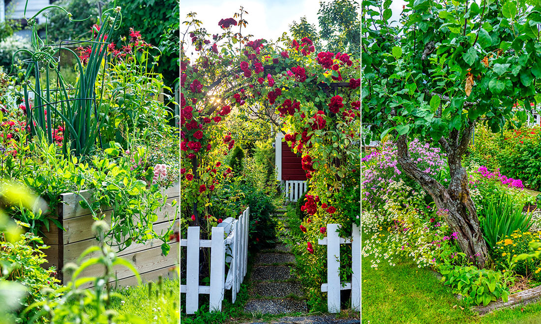 7 vackra planteringar för en frodig trädgård - Hus & Hem