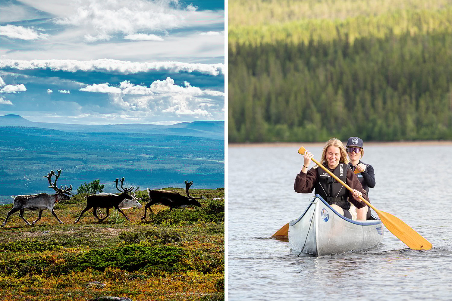 Sommarkänslor på fjället – upptäck Lofsdalen - Hus & Hem